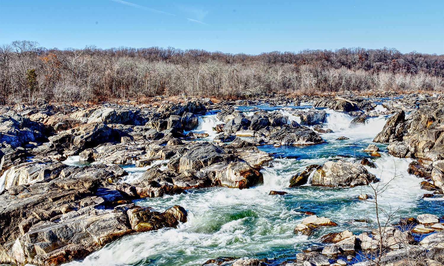 Top or Best TikTok Management Agencies and Companies in Wheaton, Maryl – DolFinContentShop