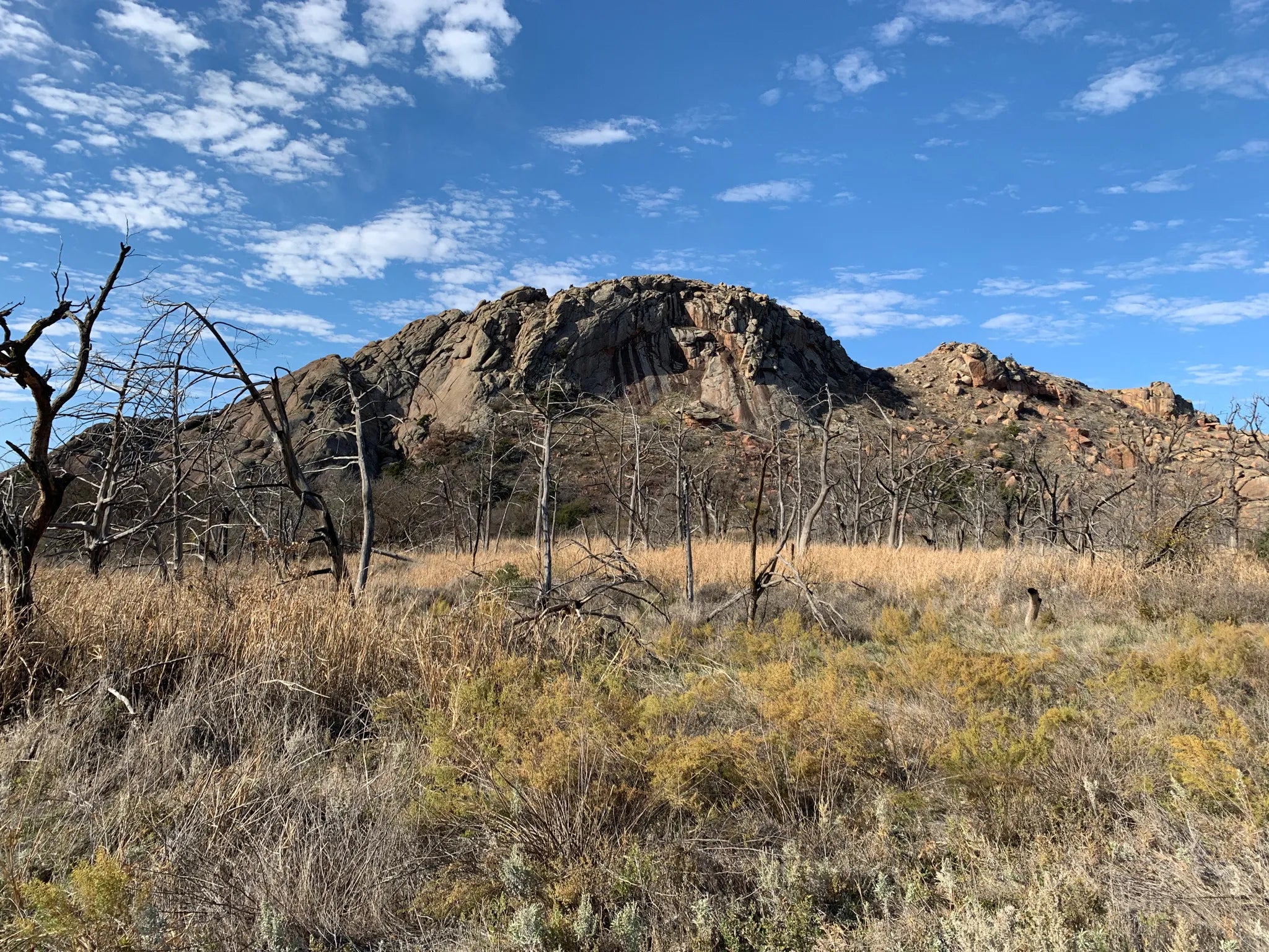 Best or Top Snapchat Management Agencies and Companies in Shawnee, Okl – DolFinContentShop