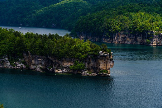 Top Brochure Design Agencies in West Virginia – My Store