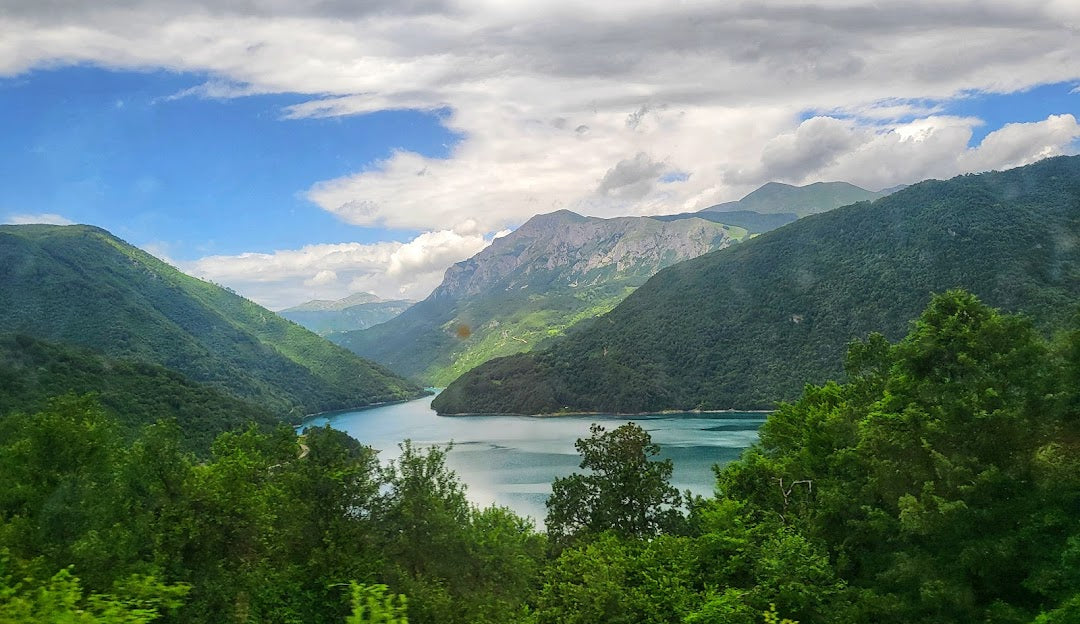 The Top 5 Postcard Designers in Montenegro – DolFinContentShop