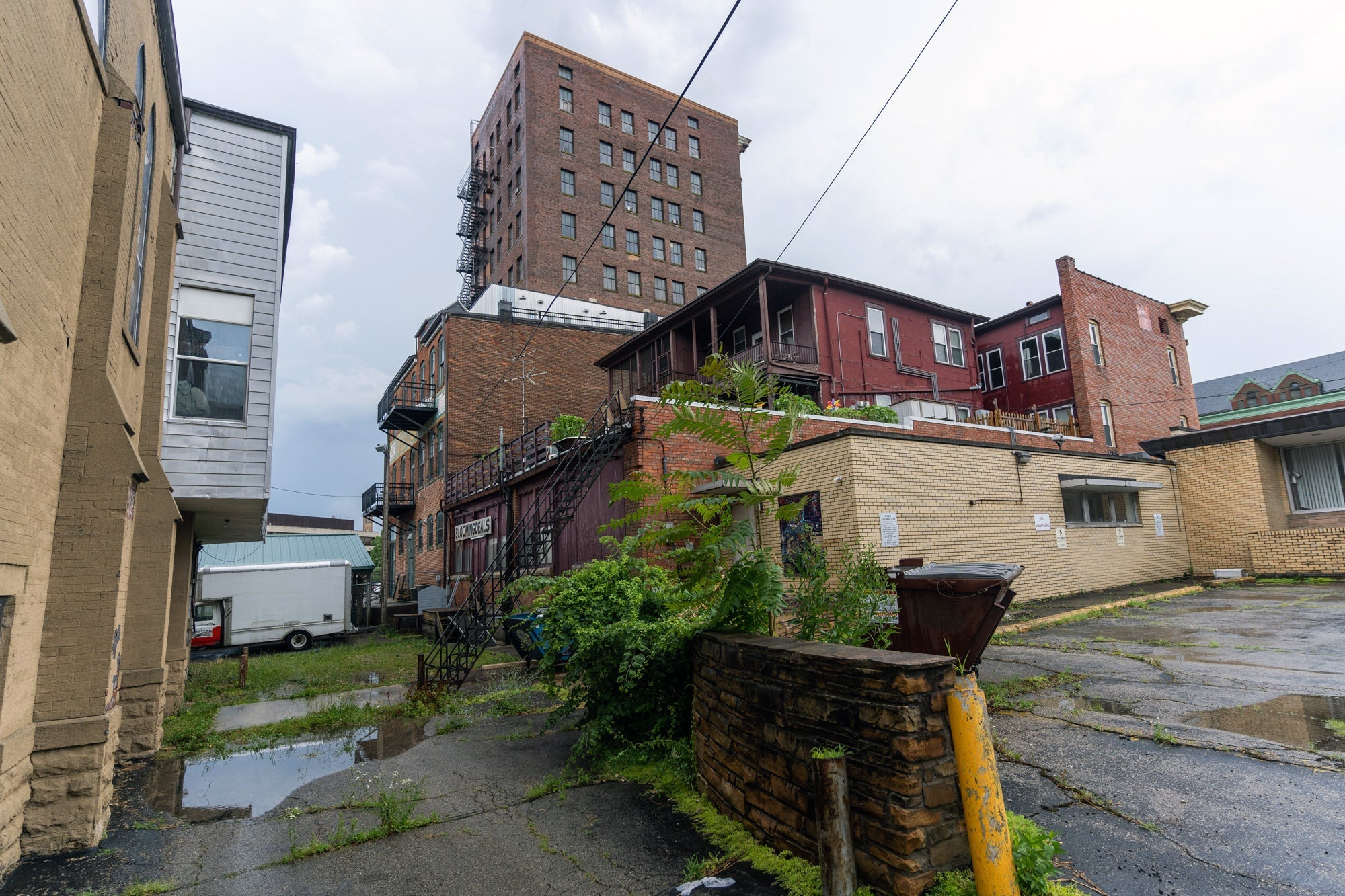 Top or Best Custom Graphics for Videos Agencies and Companies in Sprin ...