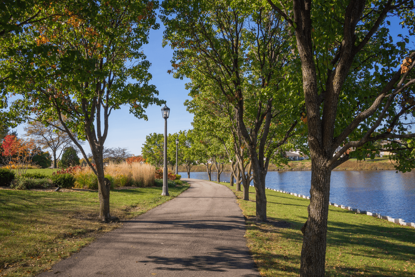 Top or Best Drawing and Illustration Agencies and Companies in Schaumb ...