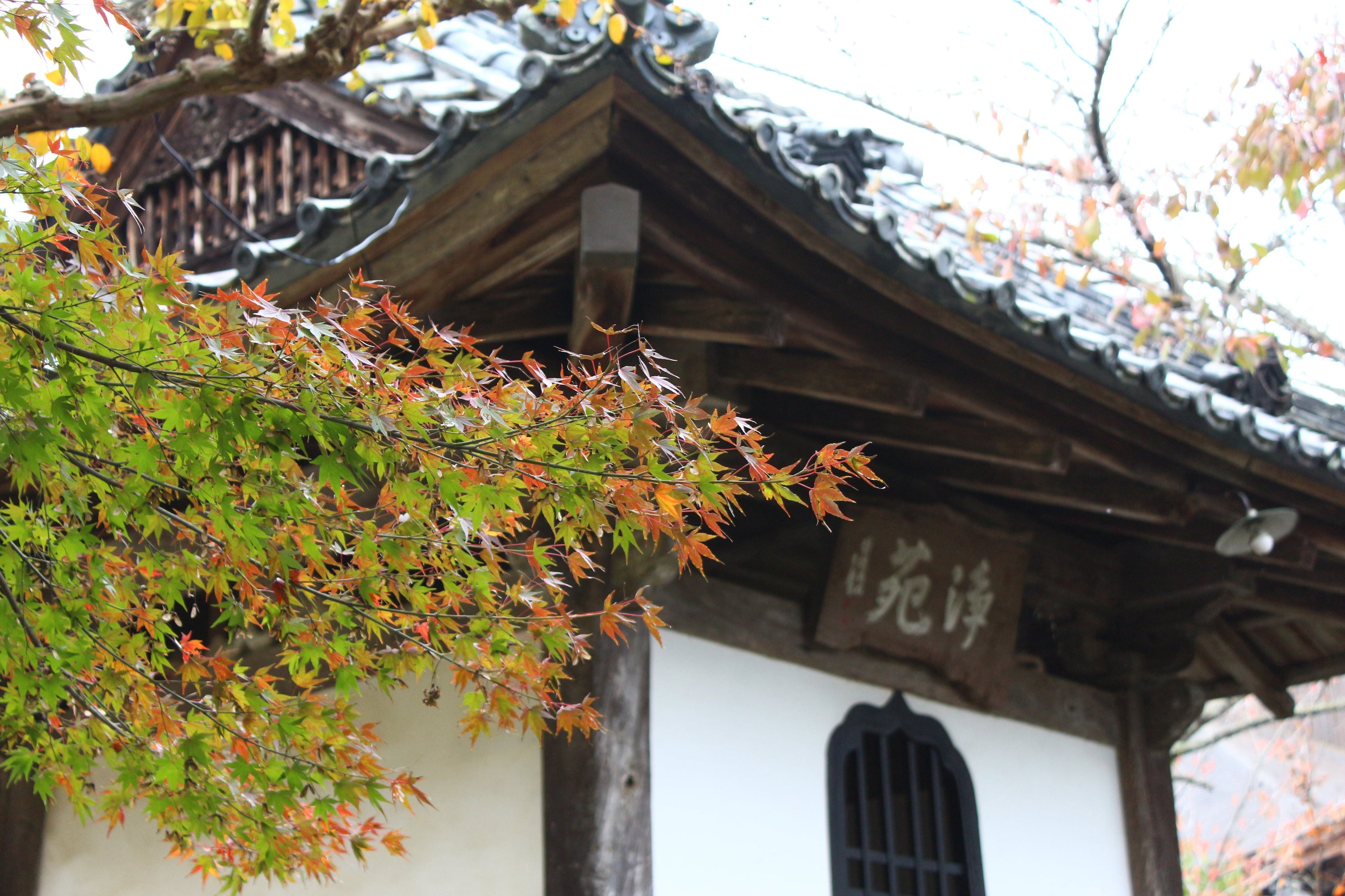 Top or Best Poster Design Agencies and Companies in Hamamatsu, Japan ...