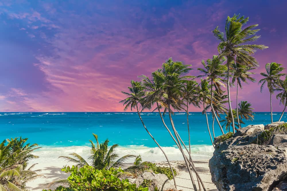 Top 5 Portrait & Caricature Design Agencies in Barbados – DolFinContentShop