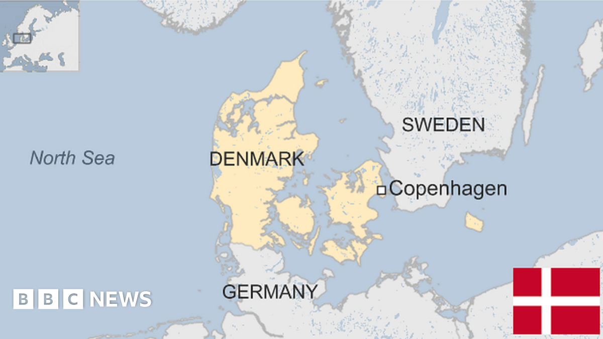 Top LinkedIn Management Companies in Denmark – DolFinContentShop