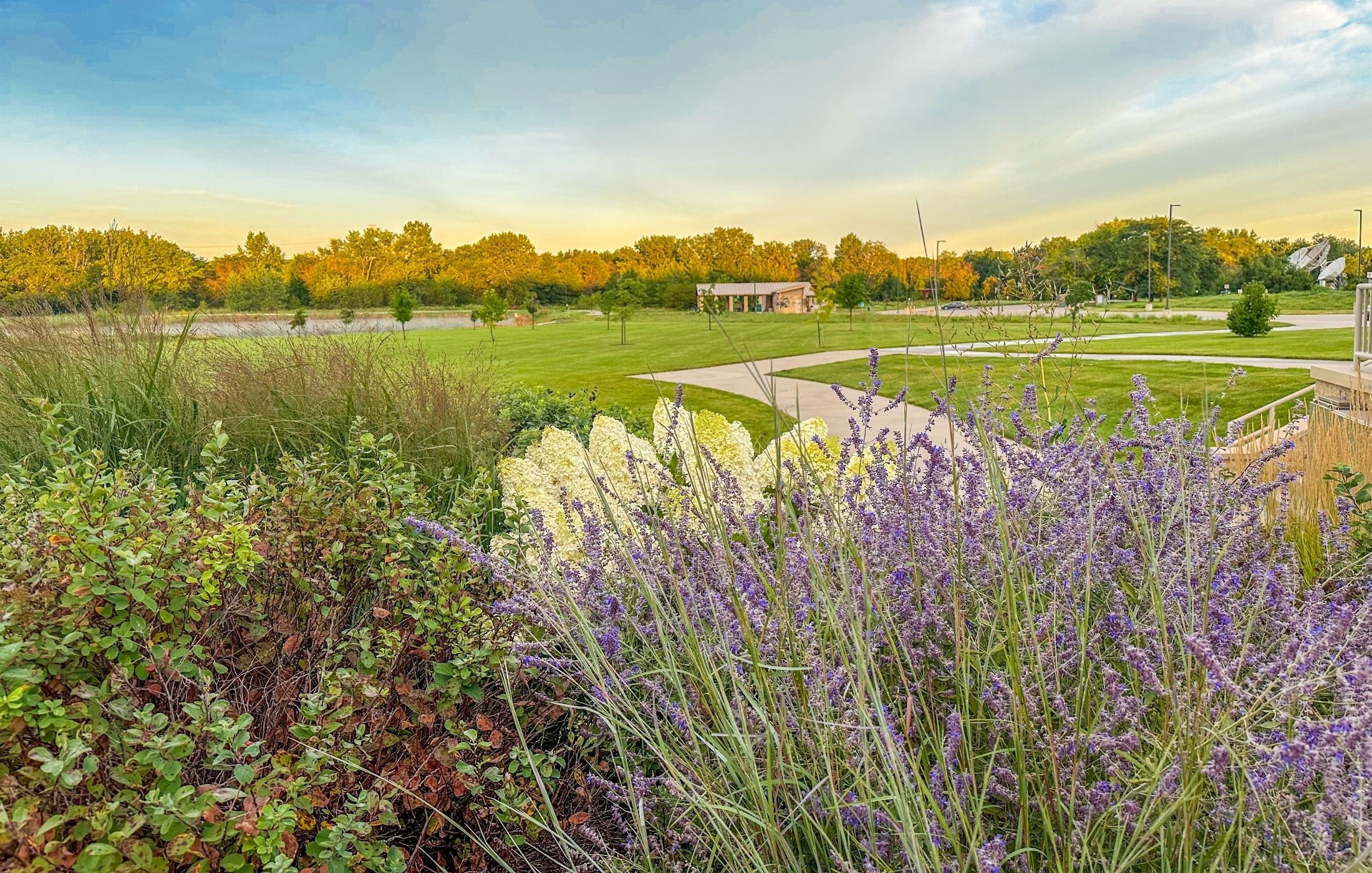 Top or Best Drawing and Illustration Agencies and Companies in Johnsto ...