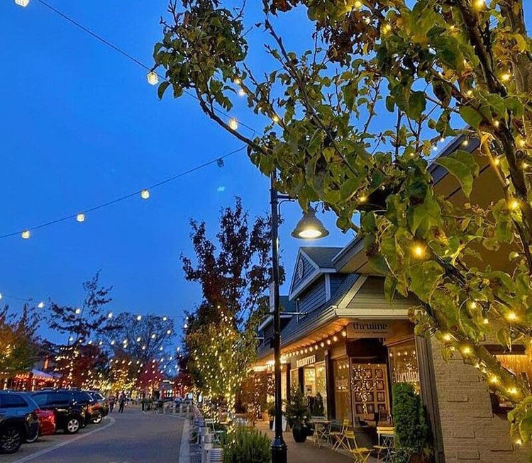 Top or Best Brochure Design Agencies and Companies in Kirkland, Washin ...