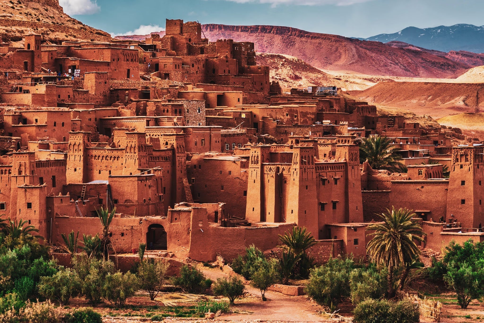 Top or Best Influencer Agency for Moroccan Influencers – DolFinContentShop