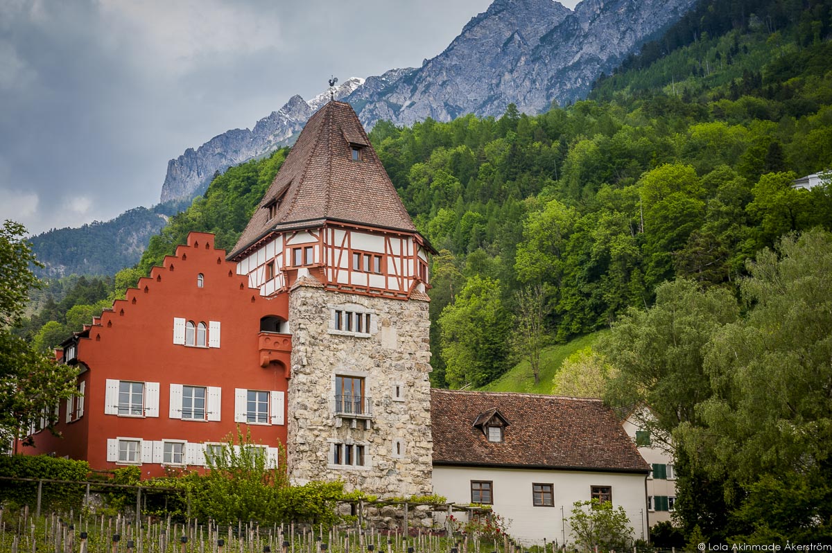Top 5 Video Editing Design Agencies in Liechtenstein – DolFinContentShop