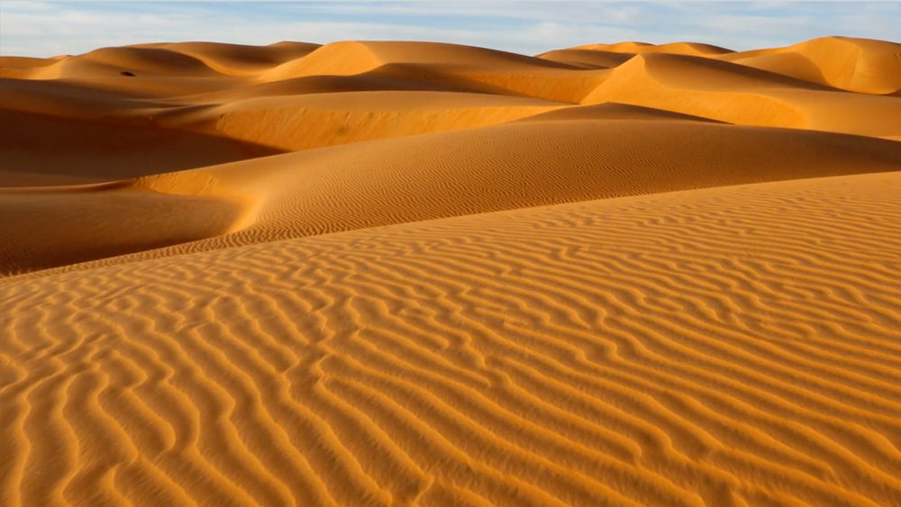 Top or Best Athlete Brand Partnership Agencies and Companies in Maurit ...