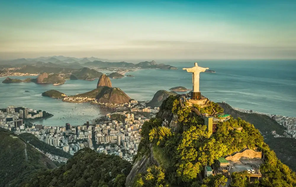 Top Logo Design Agencies in Brazil – DolFinContentShop