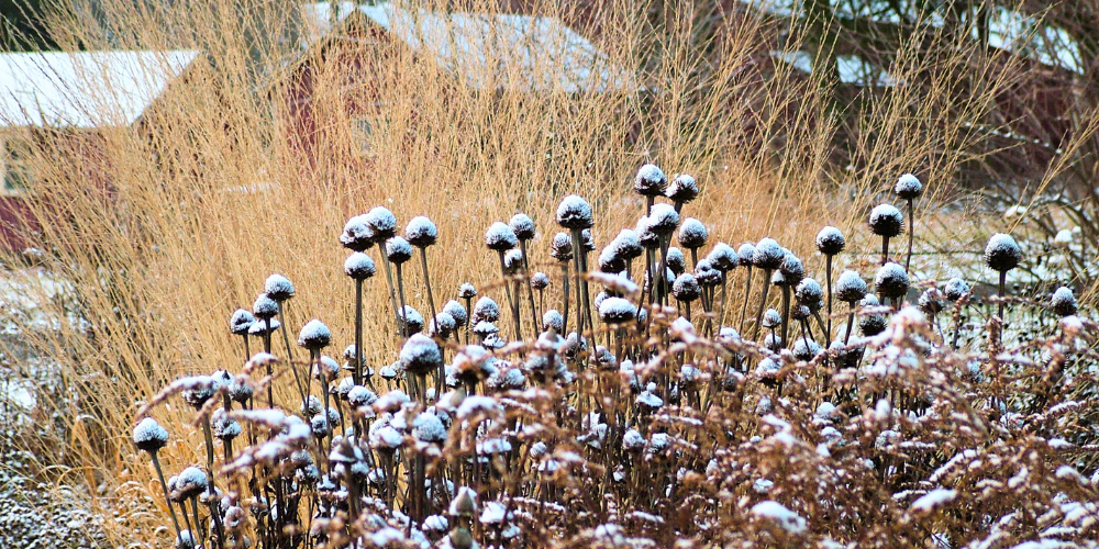 Top or Best Graphic Design Subscription Agencies and Companies in Bism ...