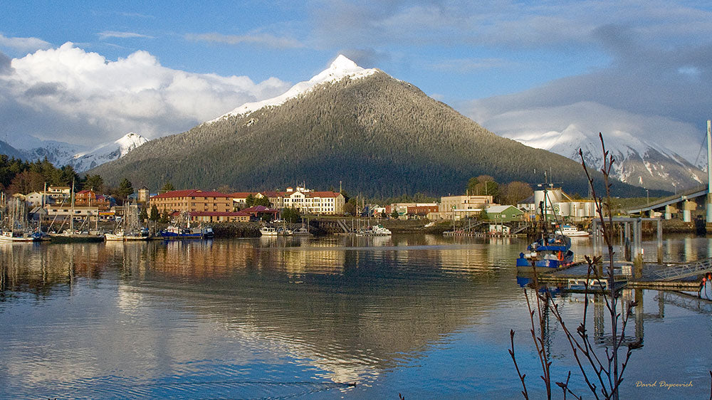 Top or Best Mural Design Agencies and Companies in Sitka, Alaska ...