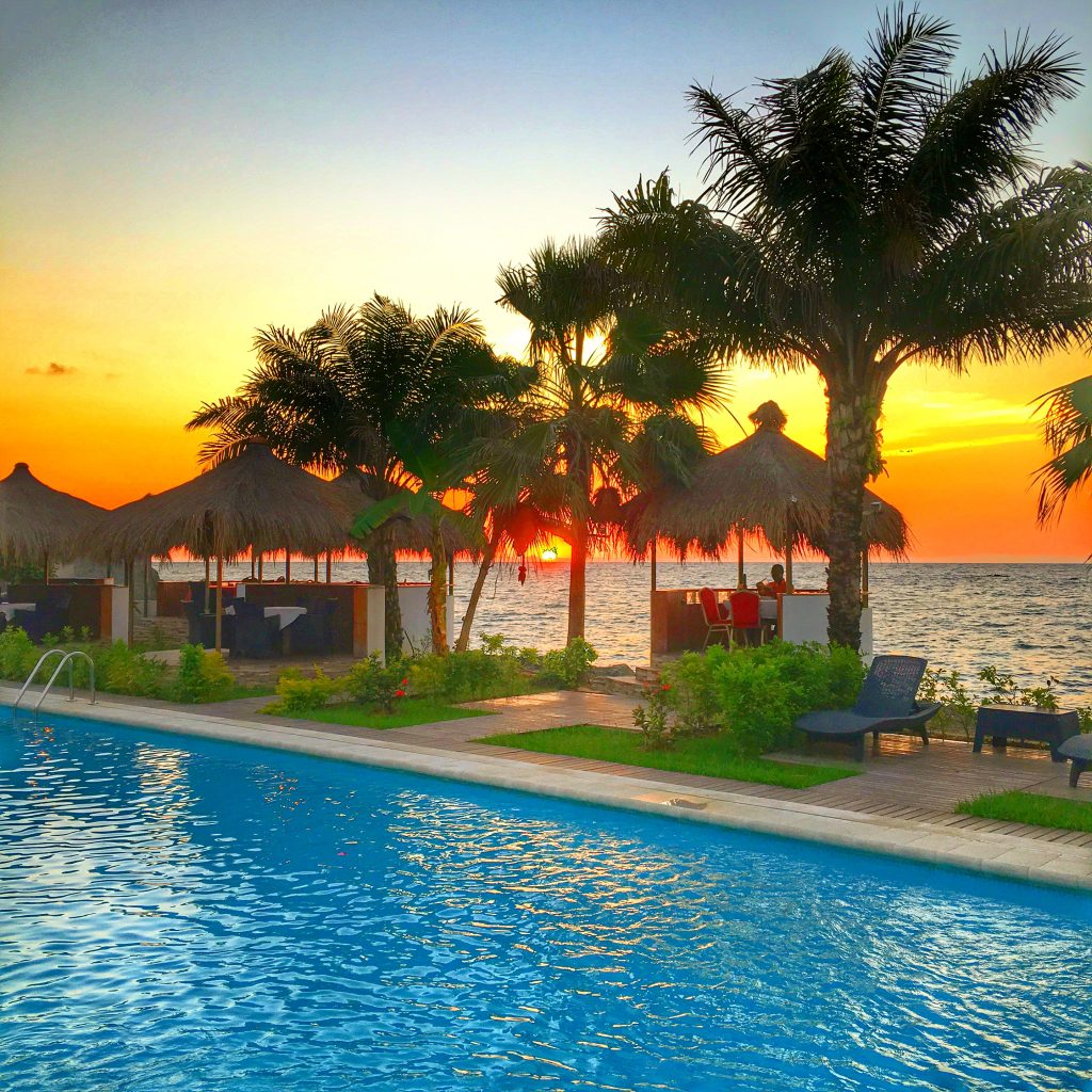 Top 5 Logo Animation Agencies in Guinea – DolFinContentShop