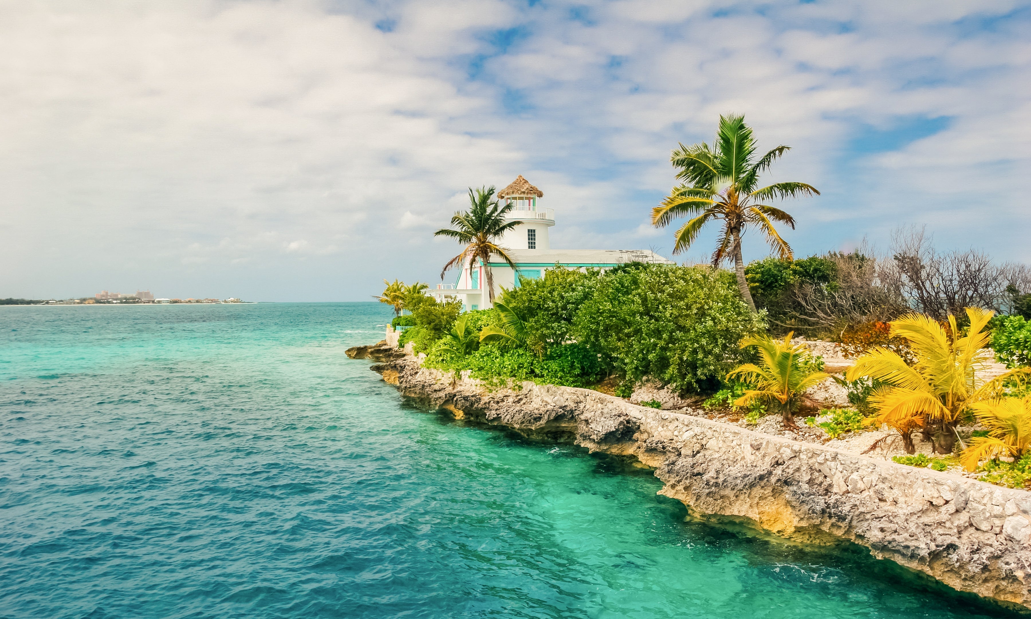 Top Direct Mail Design in the Bahamas – DolFinContentShop