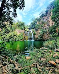 Top Cartoon and Comic Agencies in Benin – DolFinContentShop