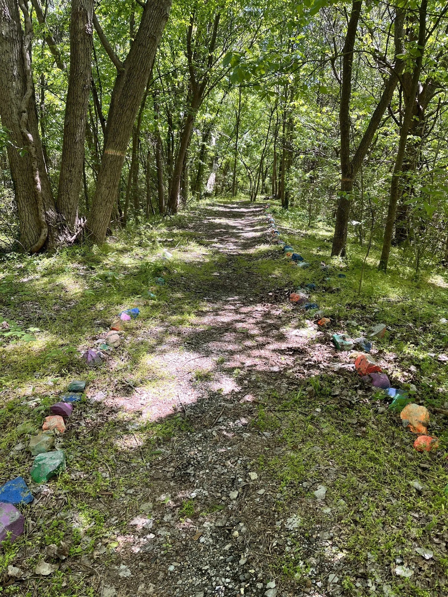 Best or Top Mural Design in Muskogee, Oklahoma – DolFinContentShop