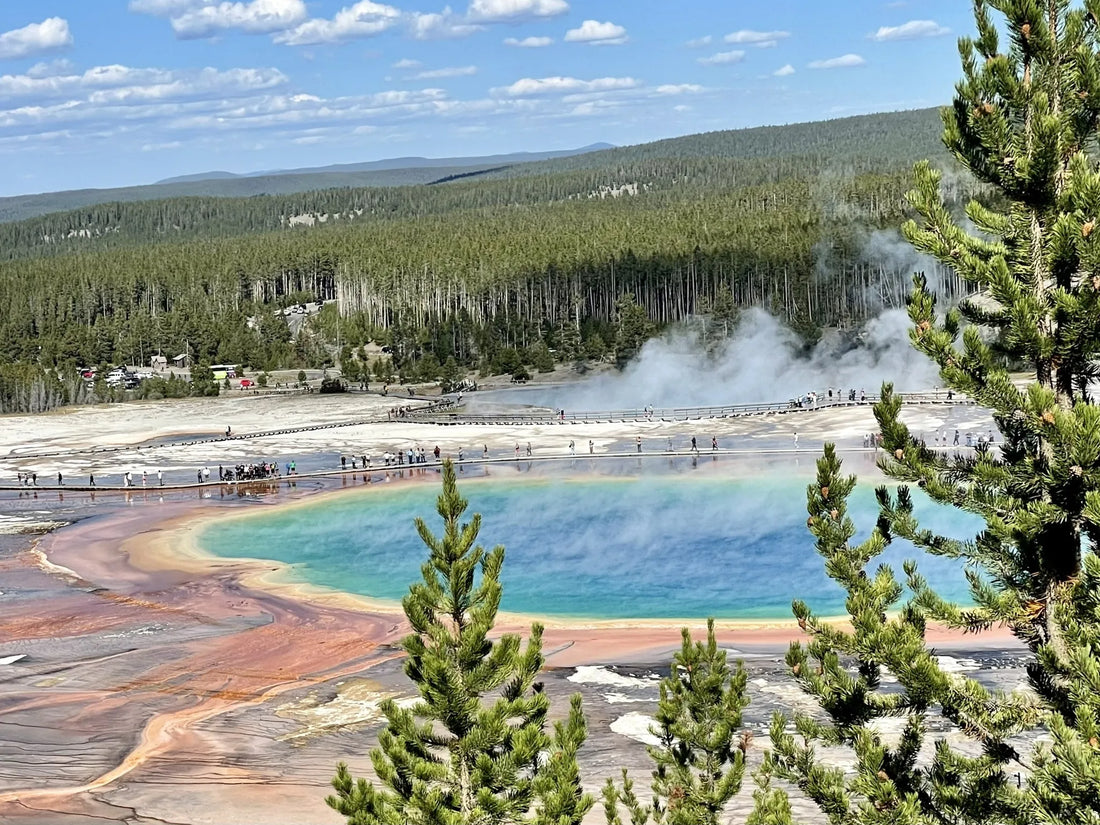 Best or Top Drawing & Illustration Agencies and Companies in Worland ...