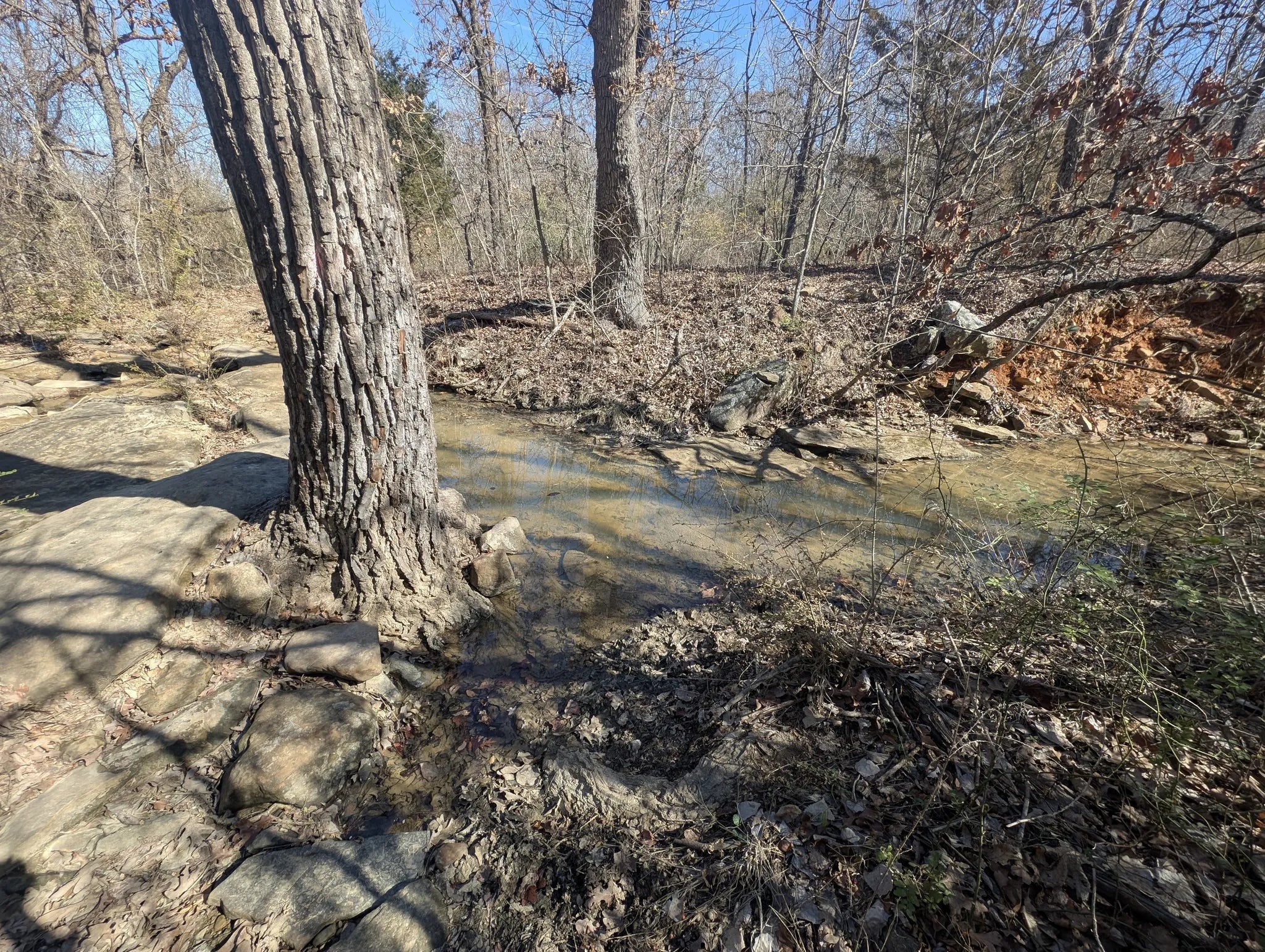 Best or Top Photo Editing Agencies and Companies in Jenks, Oklahoma ...