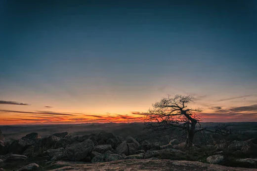 Top Video Editing Agencies in Oklahoma – My Store