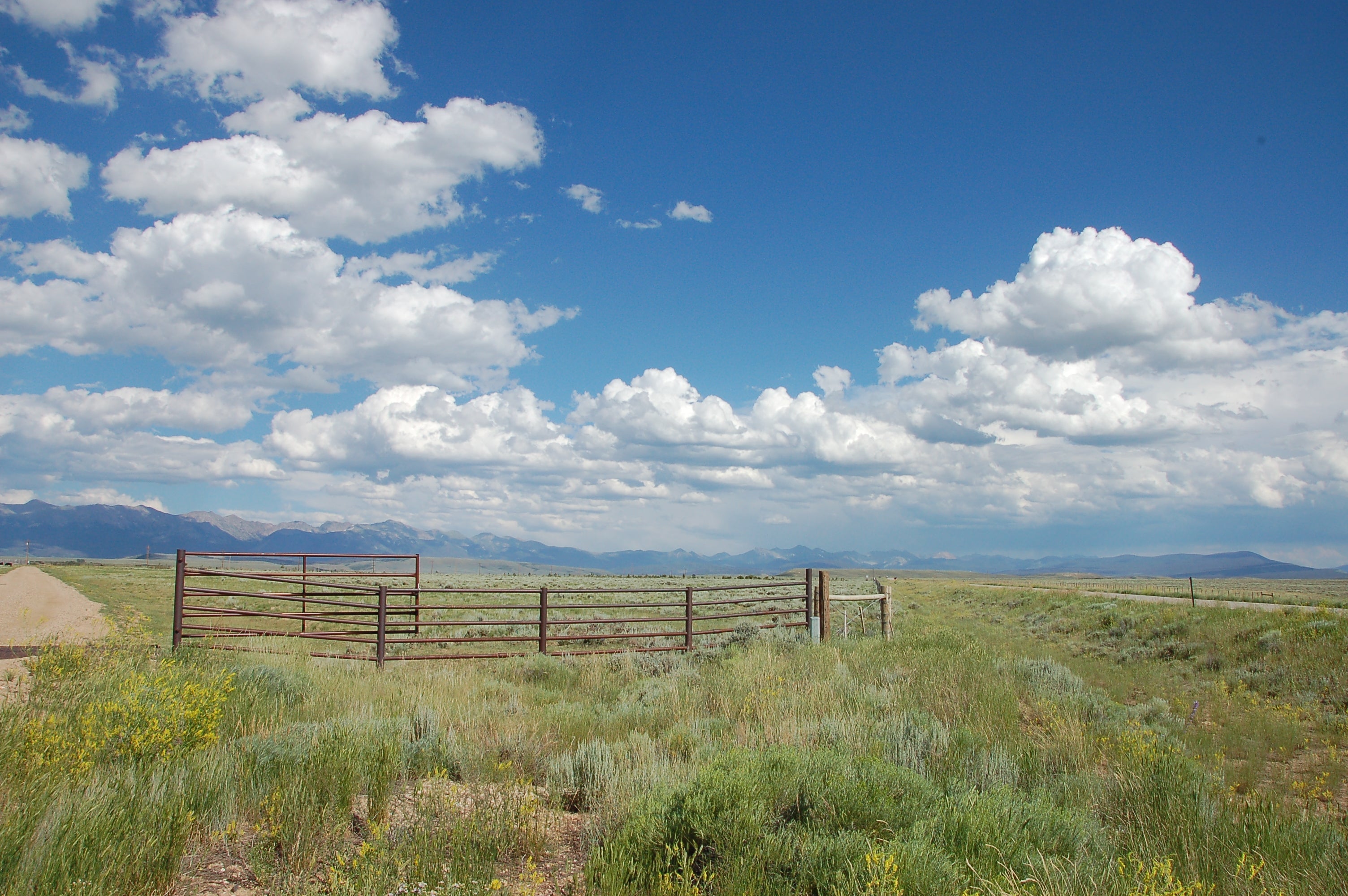 Top or Best Mural Design Agencies and Companies in Douglas Wyoming ...