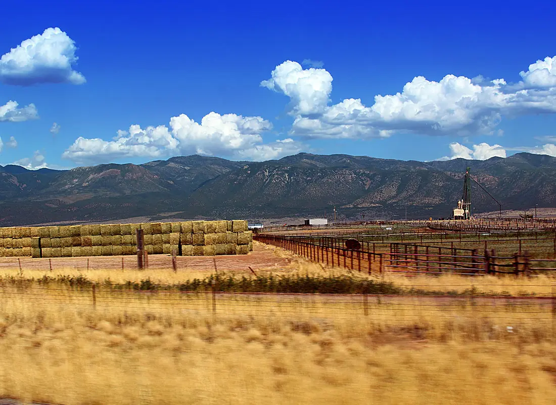 Top or Best Graphic Design Agencies and Companies in Douglas Wyoming ...