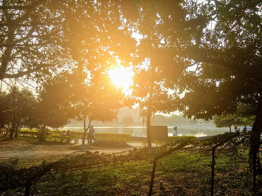 Top or Best NFT Art Agencies and Companies in Kolkata, India ...