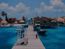 Top App UI/UX Design Agencies in Belize – DolFinContentShop