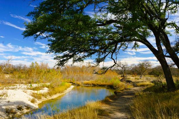 Top Video Editing Agencies in Texas – DolFinContentShop