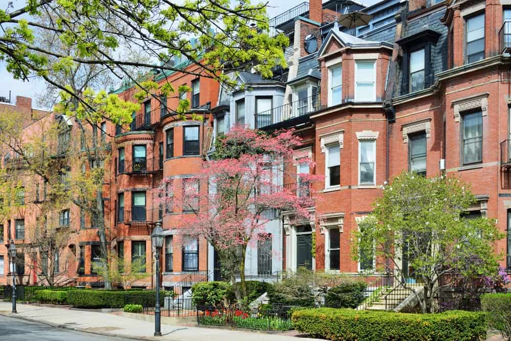 Top and Best Graphic Design Subscription Services and Companies in Lyn ...