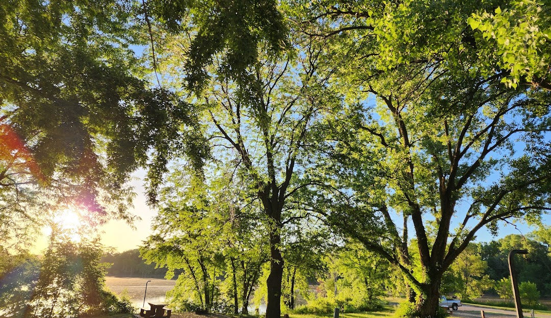 Top Cartoons & Comics Agencies and Companies in Manhattan, Kansas ...