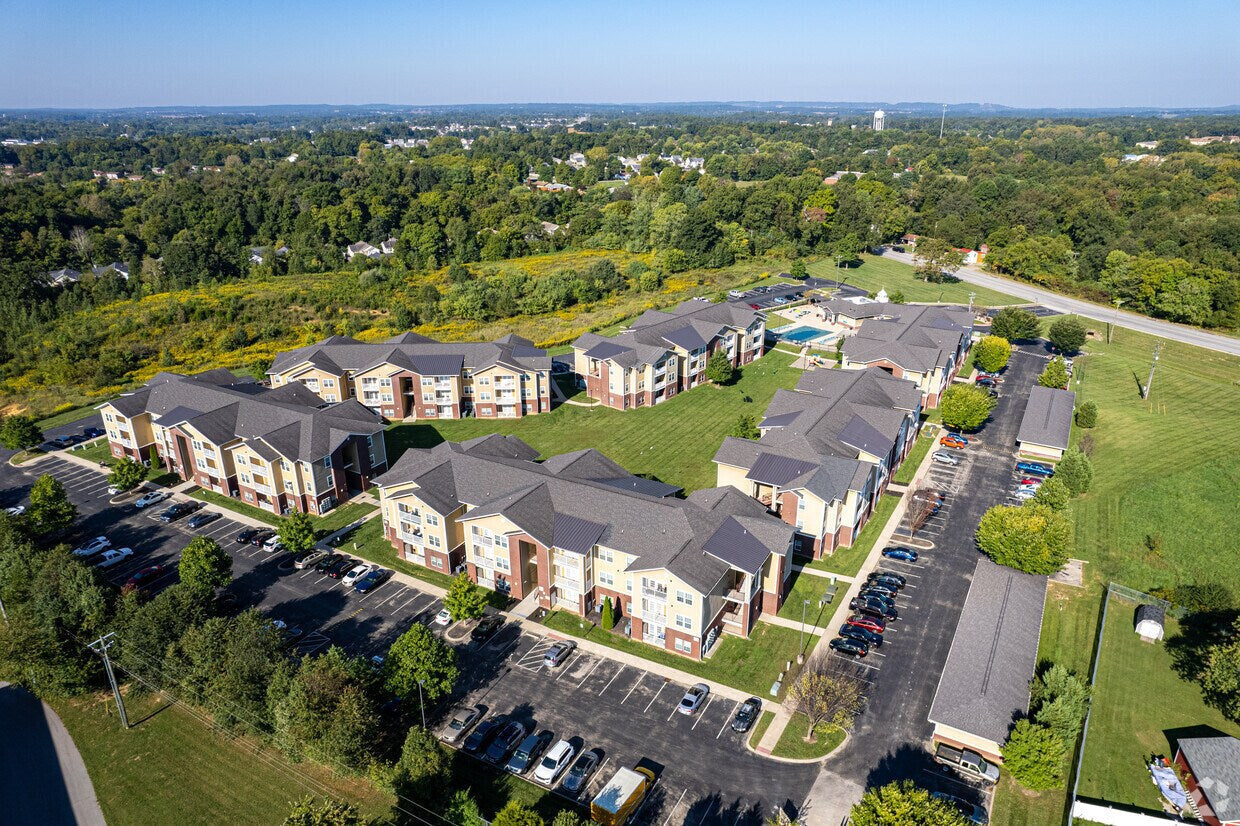 Top or Best Logo Animation in Radcliff, Kentucky – DolFinContentShop