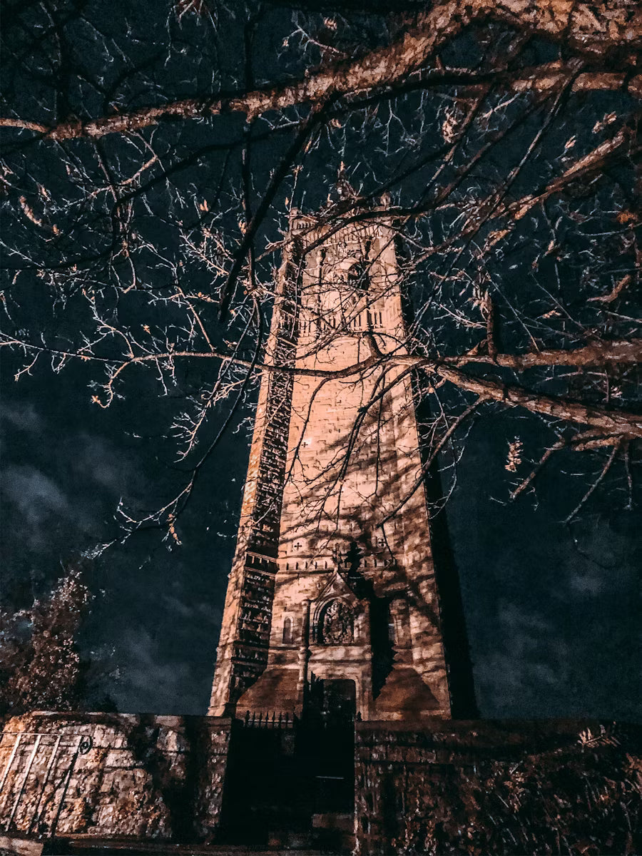 Top or Best Video Editing Subscription Agencies and Companies in Brist ...