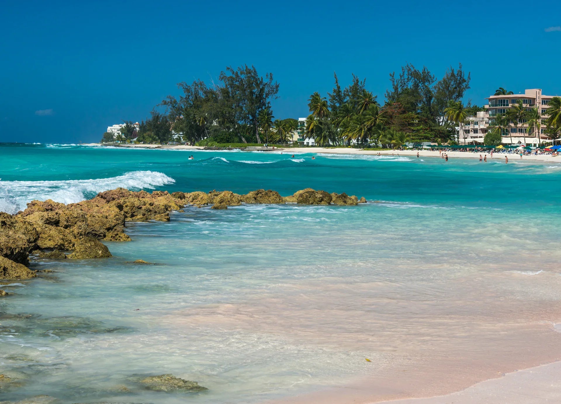 Top Cartoons & Comics Agencies in Barbados – DolFinContentShop